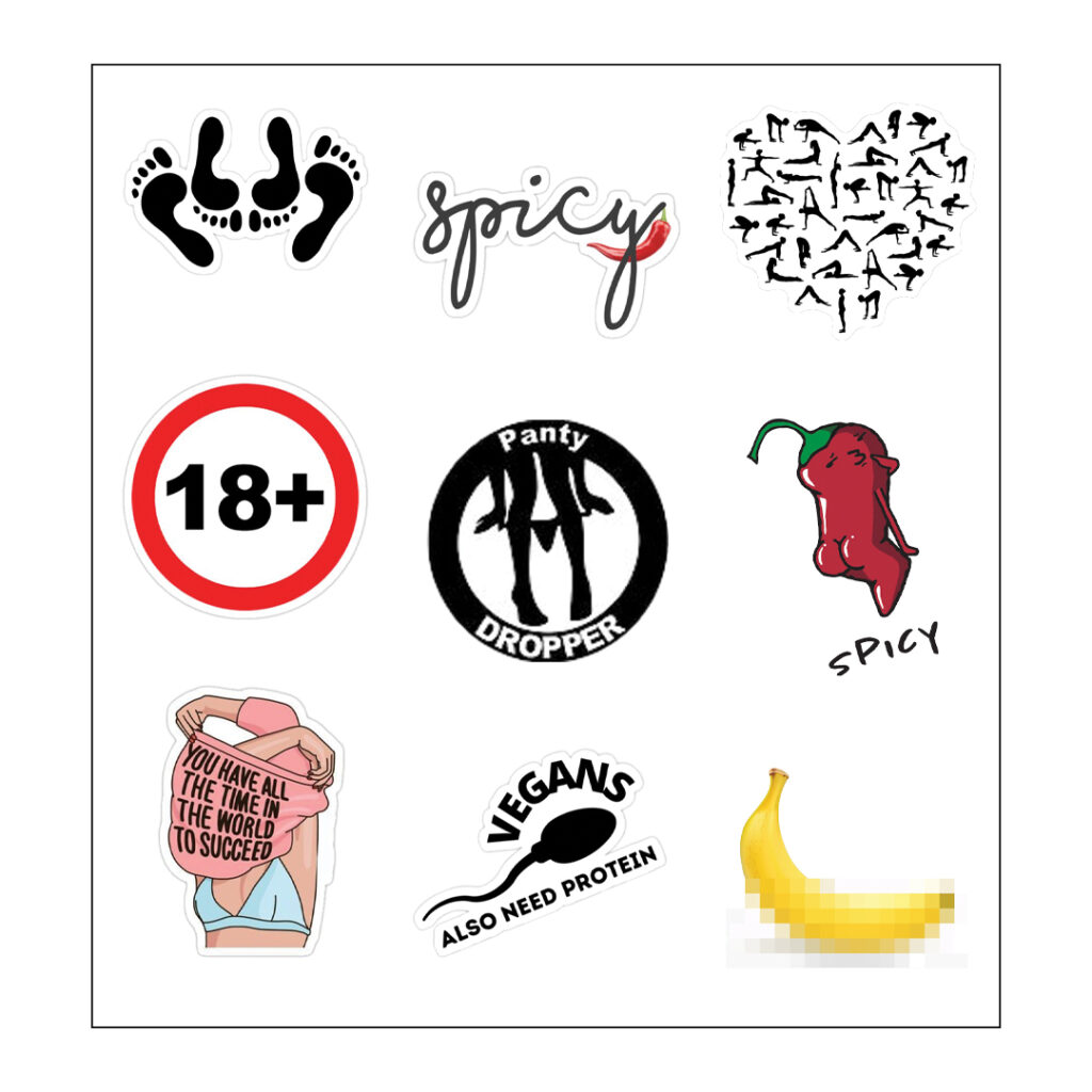 +18 Vinyl Sticker Pack Reusable & Waterproof – Cairo99